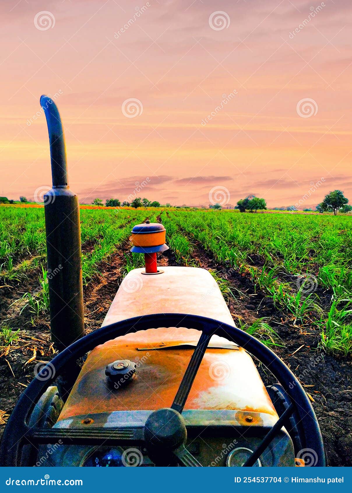 Farming at Evening Time. Tractor Image Stock Photo - Image of time ...