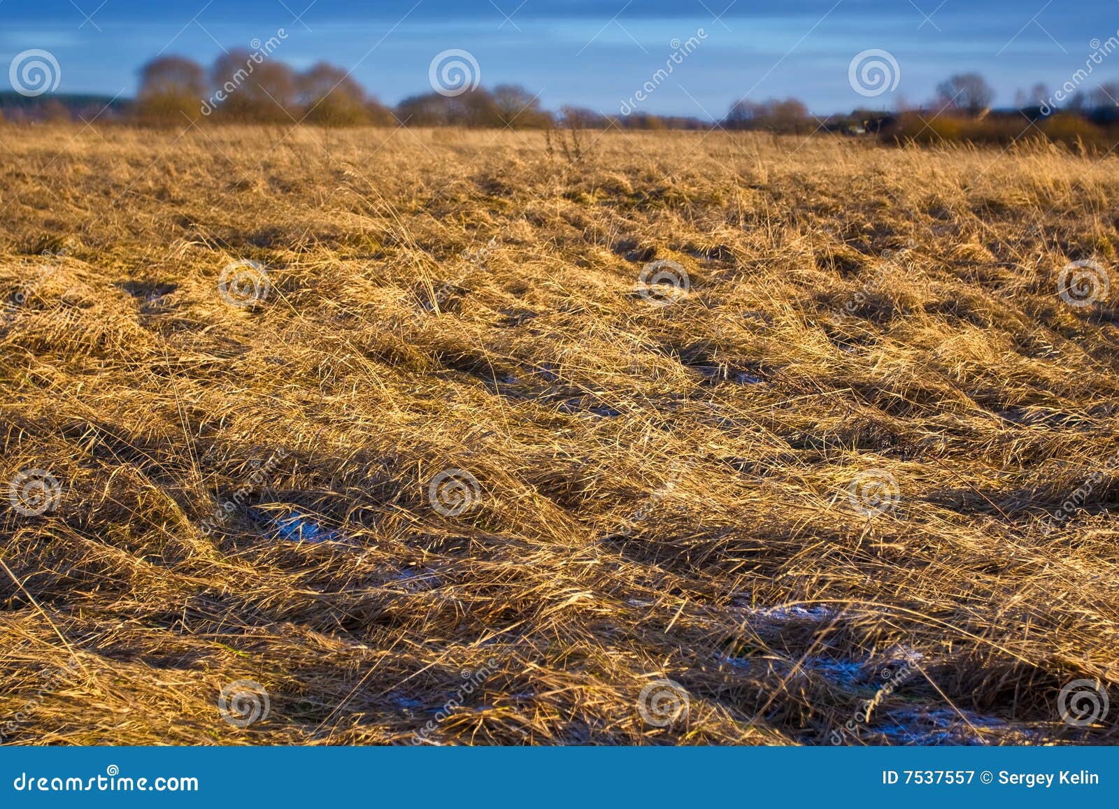 Farming Field in Russian Countryside Stock Image - Image of agriculture ...