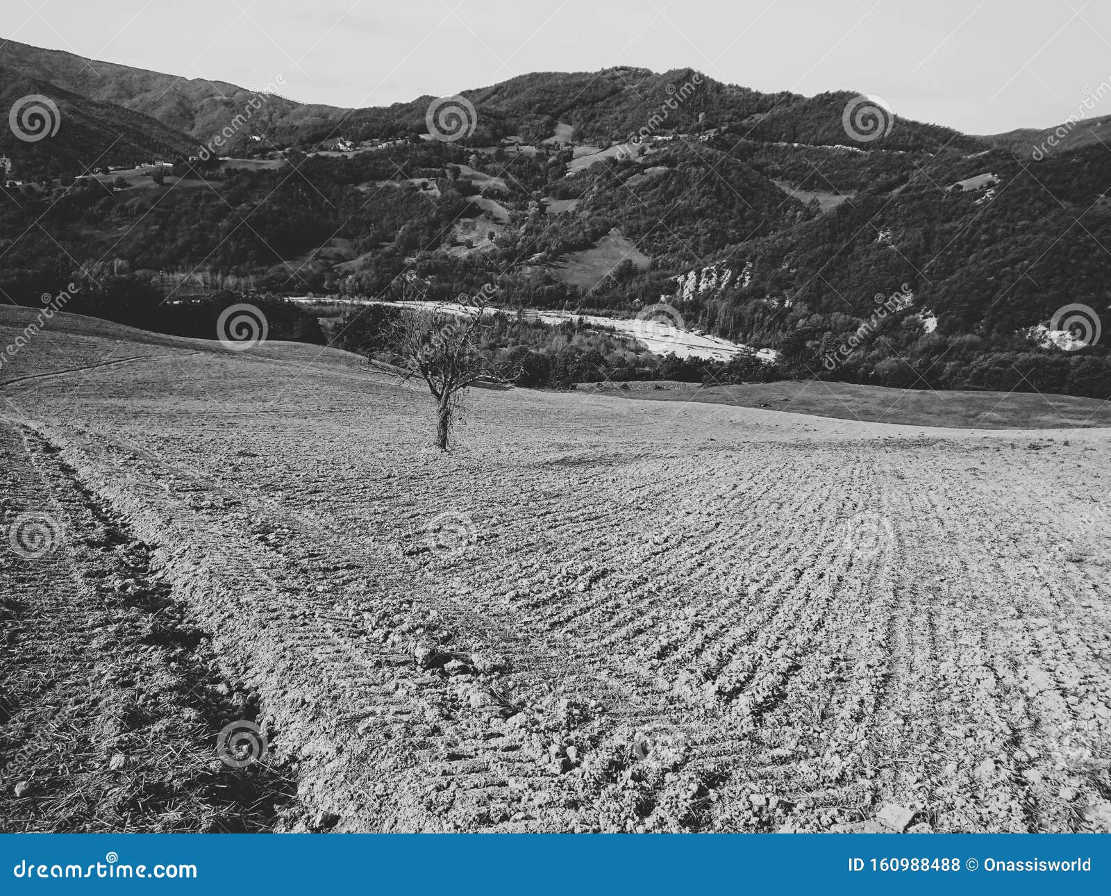 Farming Field Soil in Black & White Stock Photo - Image of farming ...