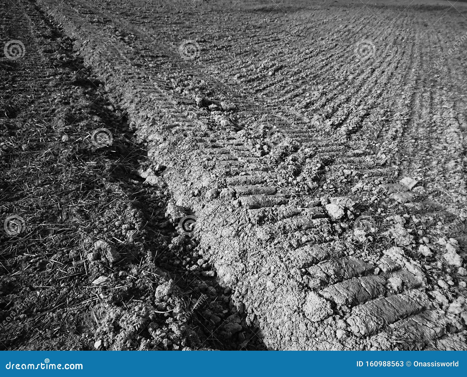 Farming Field Soil in Black & White Stock Image - Image of black, white ...