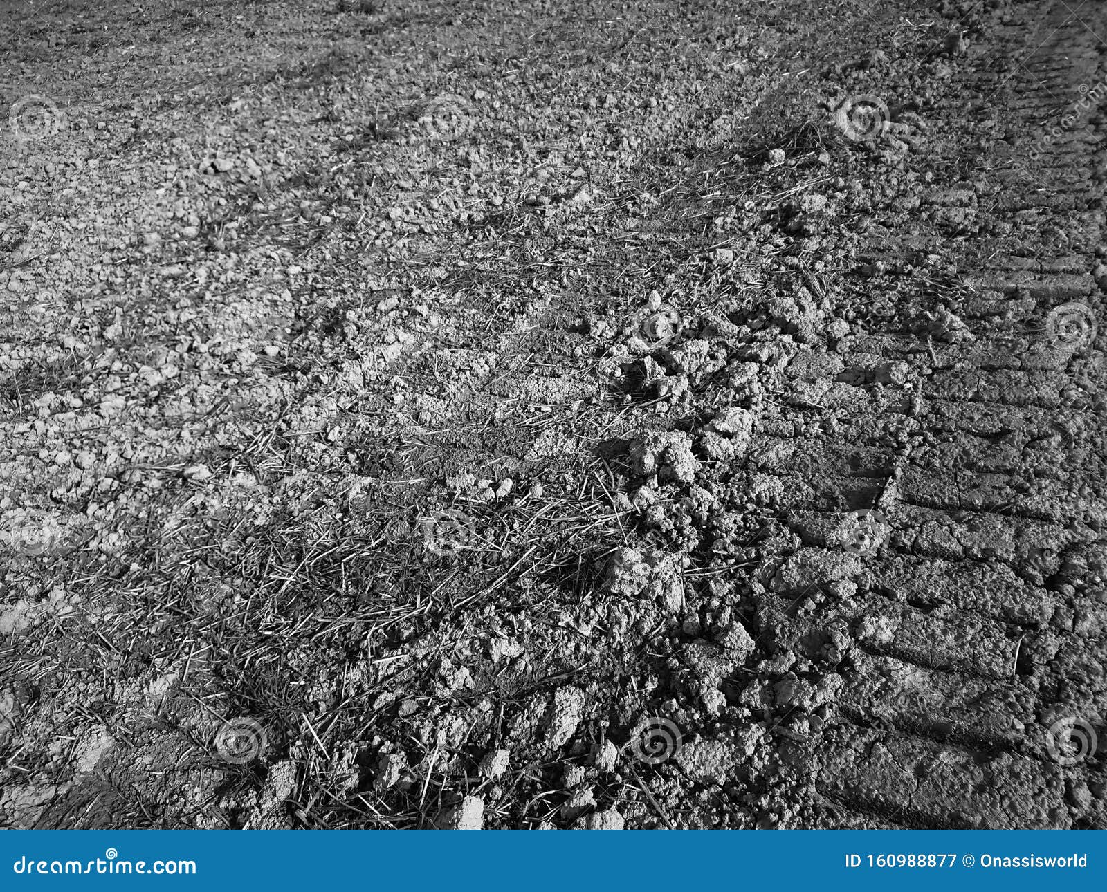 Farming Field Soil in Black & White Stock Image - Image of farming ...