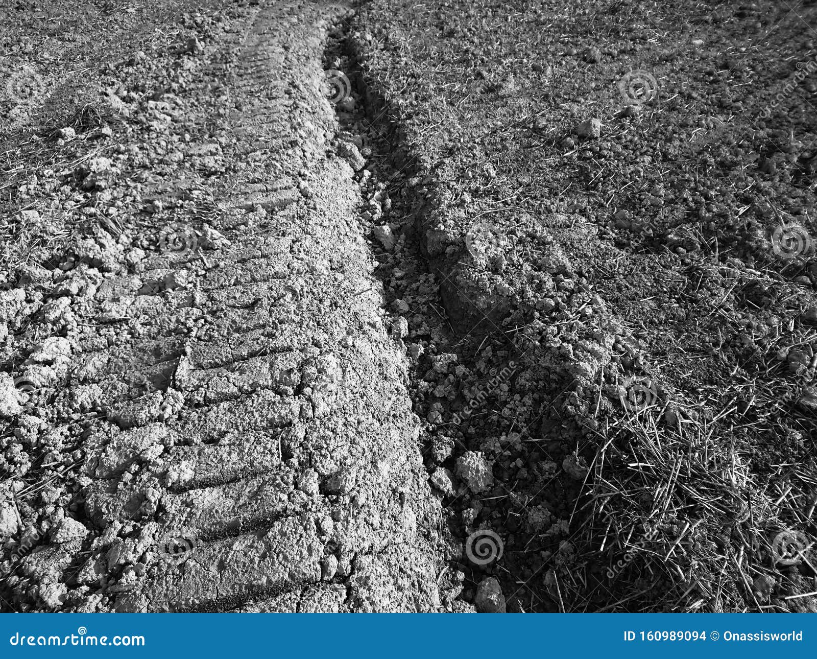 Farming Field Soil in Black & White Stock Photo - Image of field, white ...