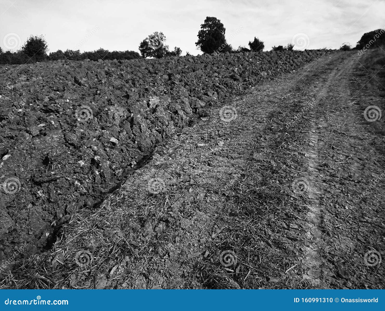 Farming Field Soil in Black & White Stock Photo - Image of black, field ...
