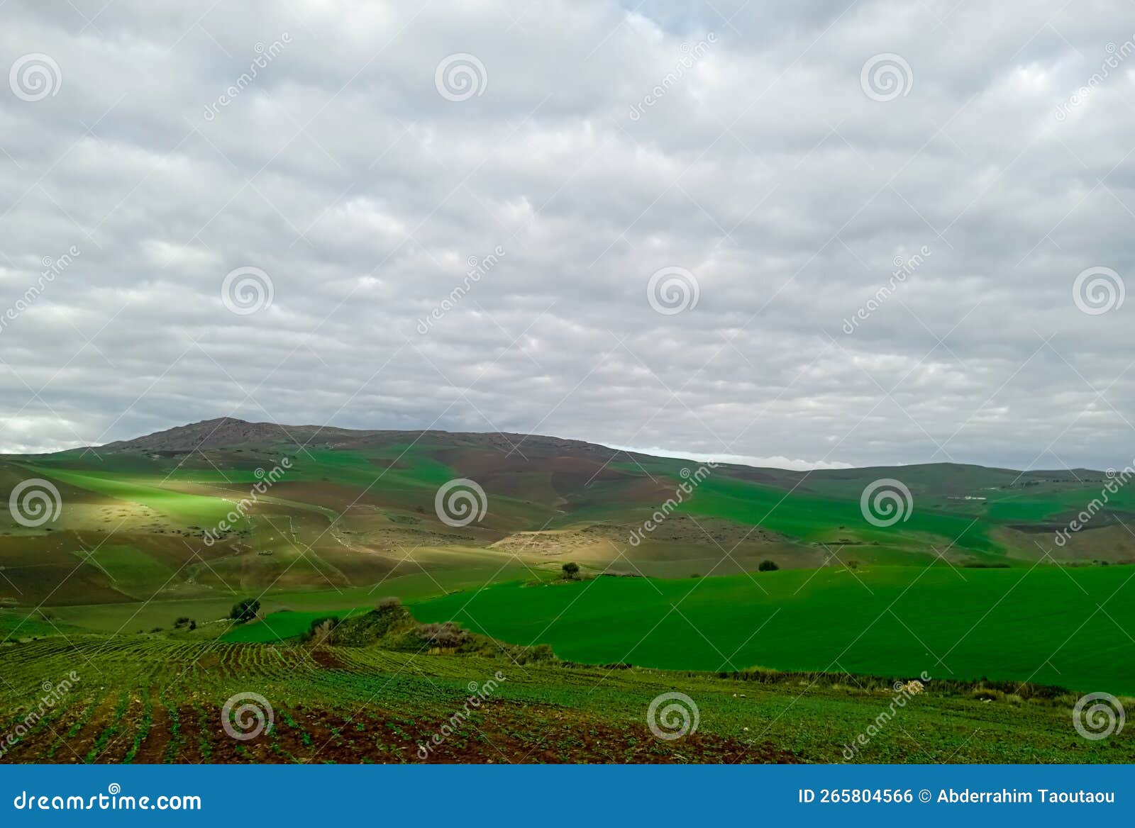 Farming Fields in the City of Constantine Algeria Stock Photo - Image ...
