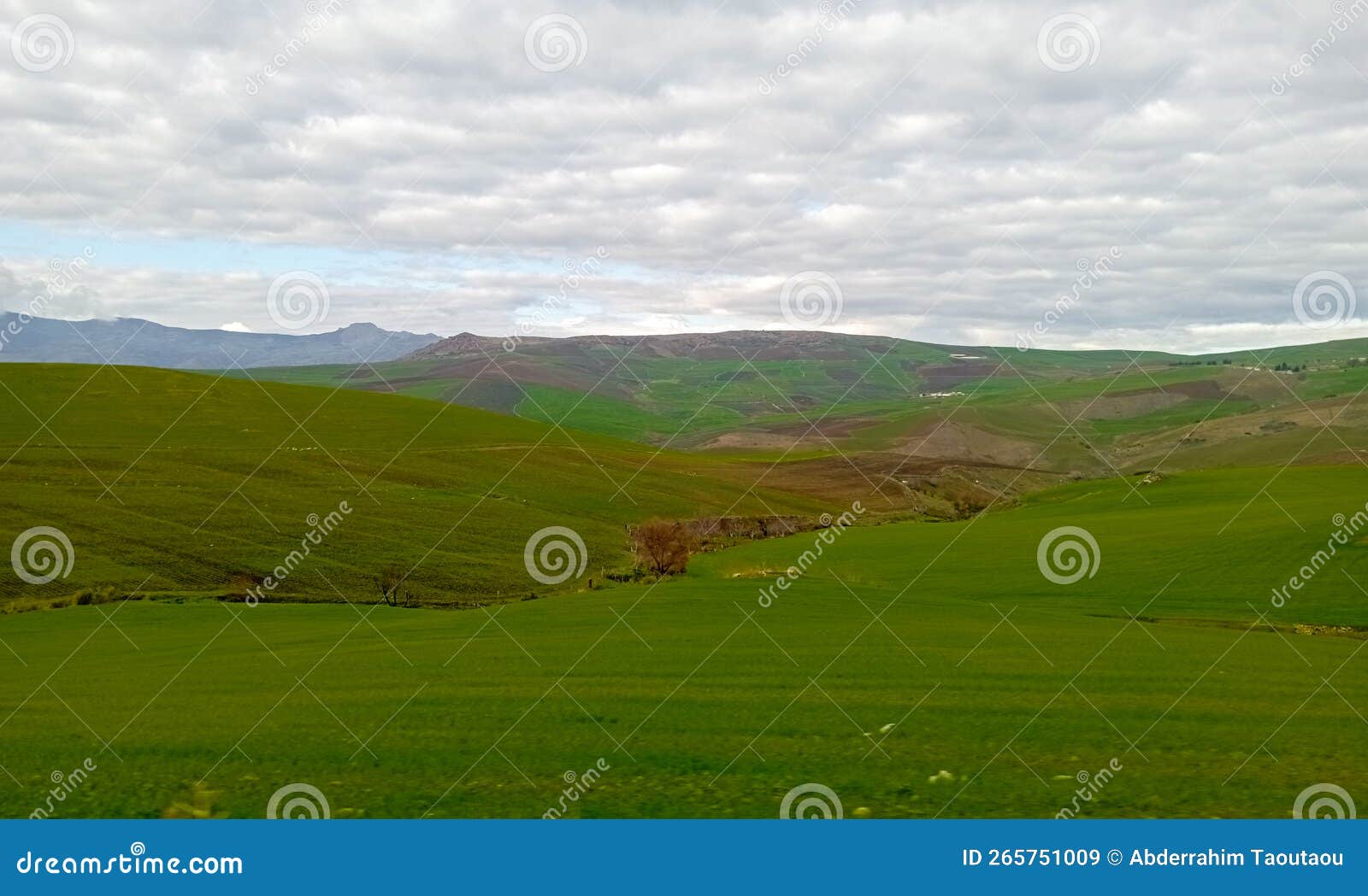 Farming Fields in the City of Constantine Algeria Stock Image - Image ...