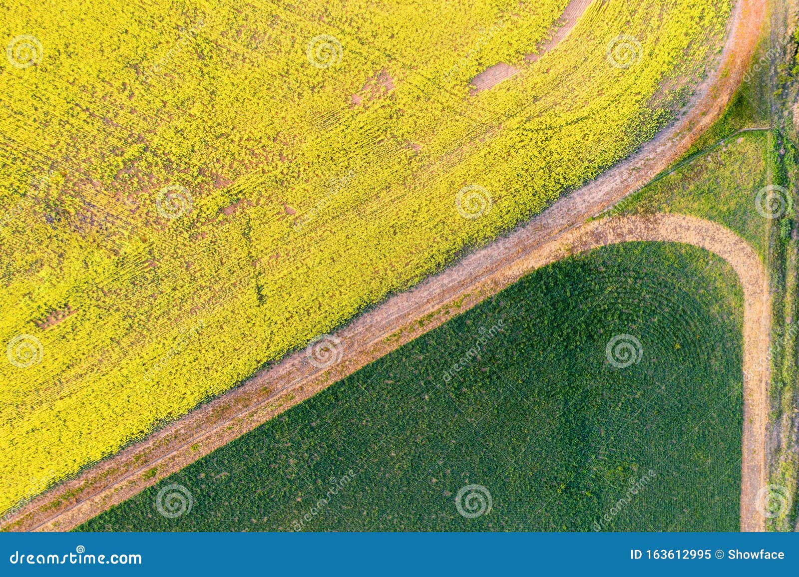 Farming Fields Green and Gold Patterns Stock Image - Image of spring ...