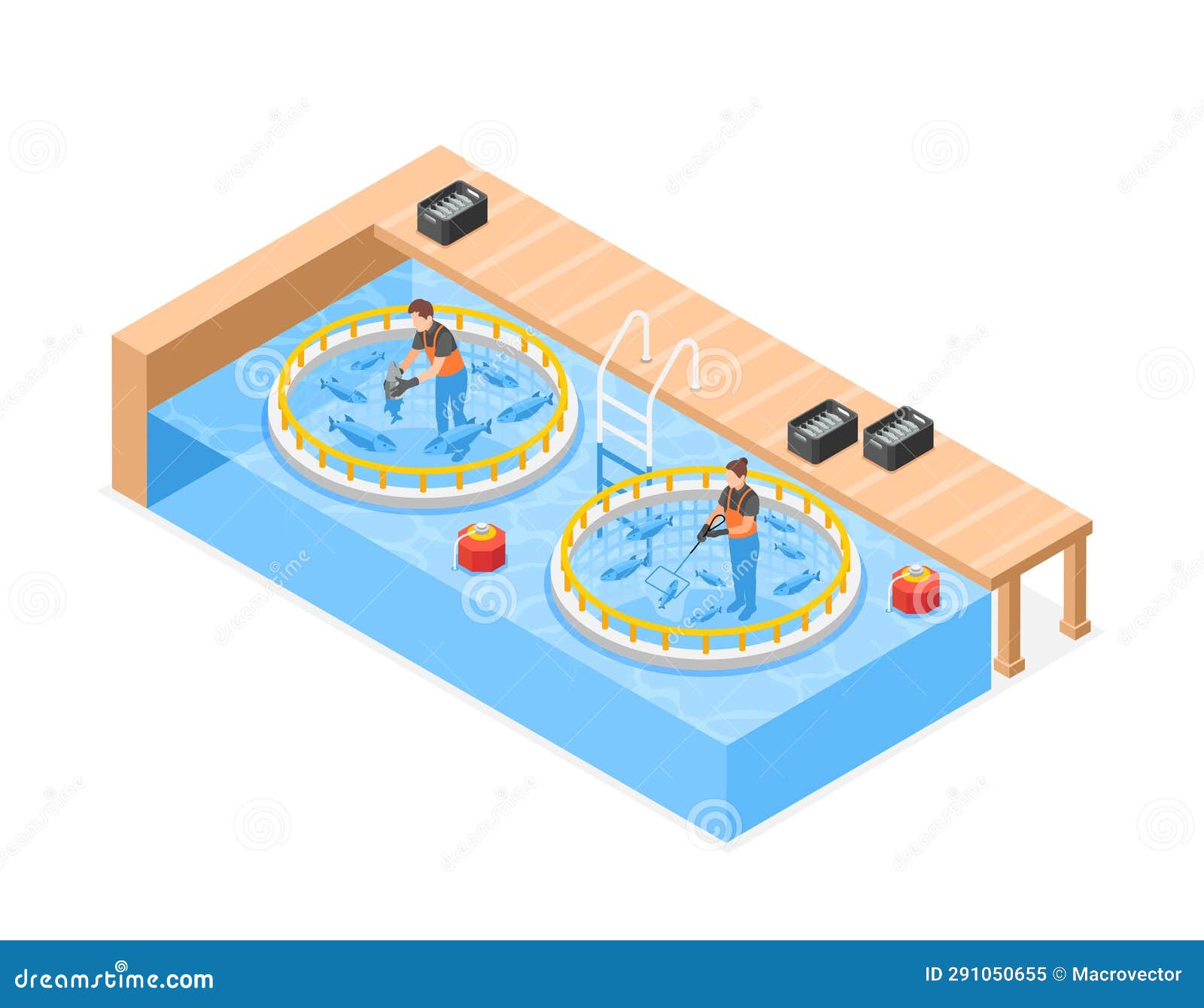Farming Fish Isometric Composition Stock Vector - Illustration of ...