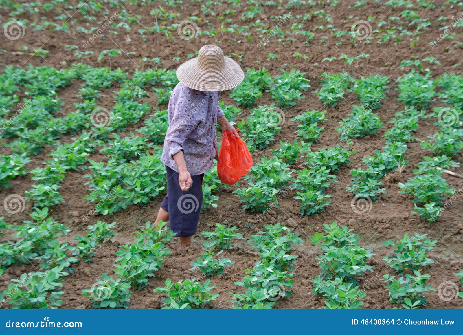 Farming 3 editorial stock image. Image of hard, mountains - 48400364