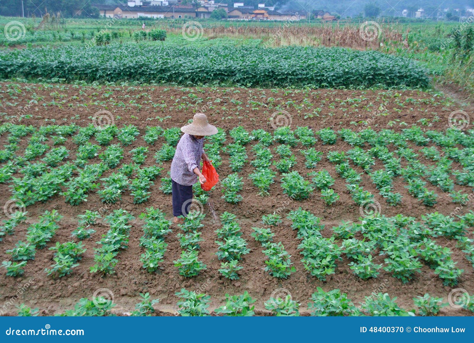 Farming 3 editorial image. Image of mountains, shrubland - 48400370