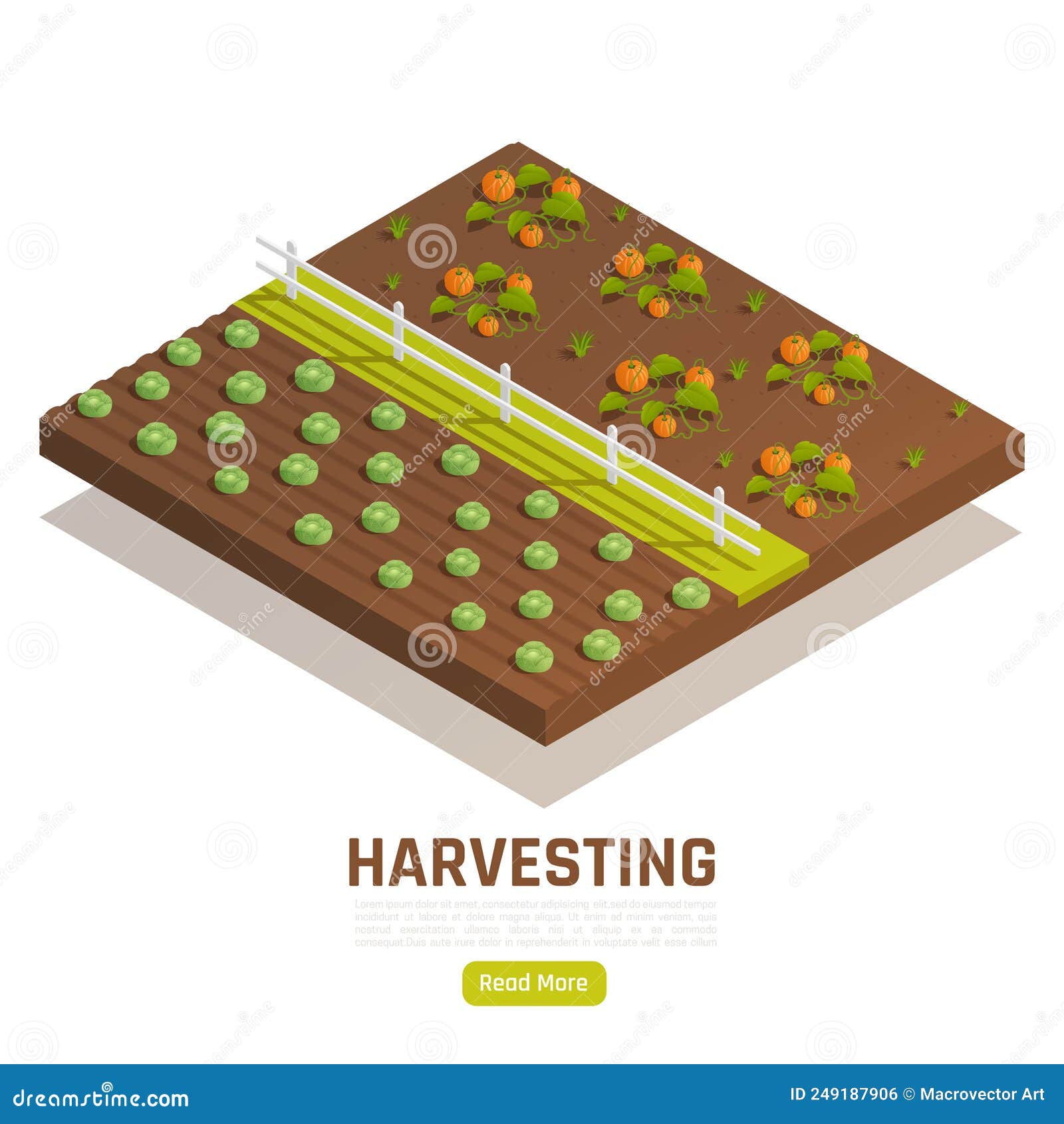 Farming Harvesting Isometric Composition Stock Vector - Illustration of ...