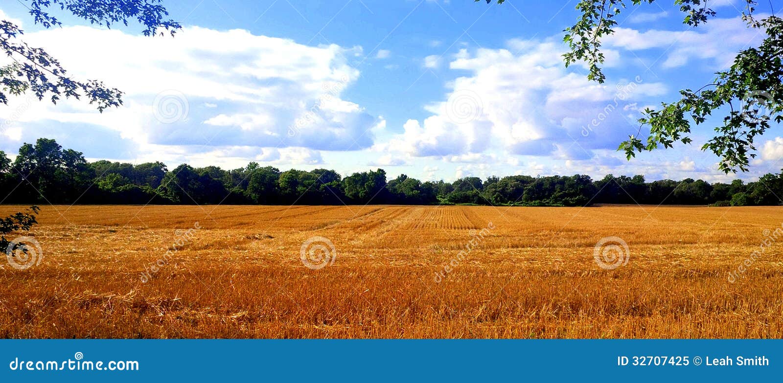 Farming Hayfield stock image. Image of clouds, field - 32707425