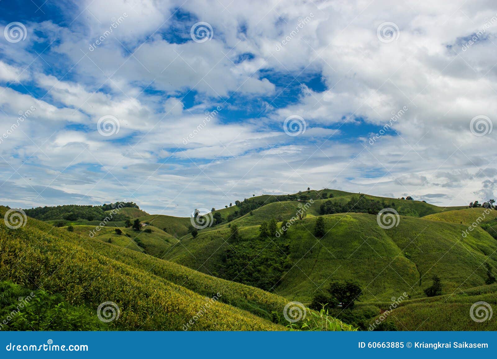 Farming on hill stock image. Image of thailand, field - 60663885