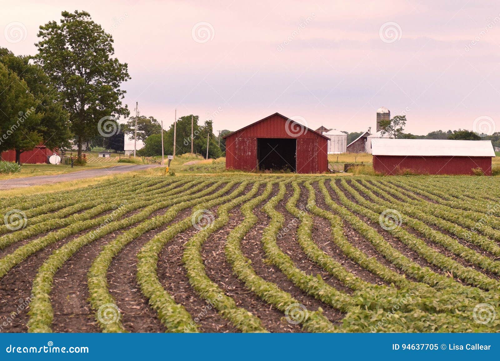Farming in Illinois stock image. Image of barn, illinois - 94637705
