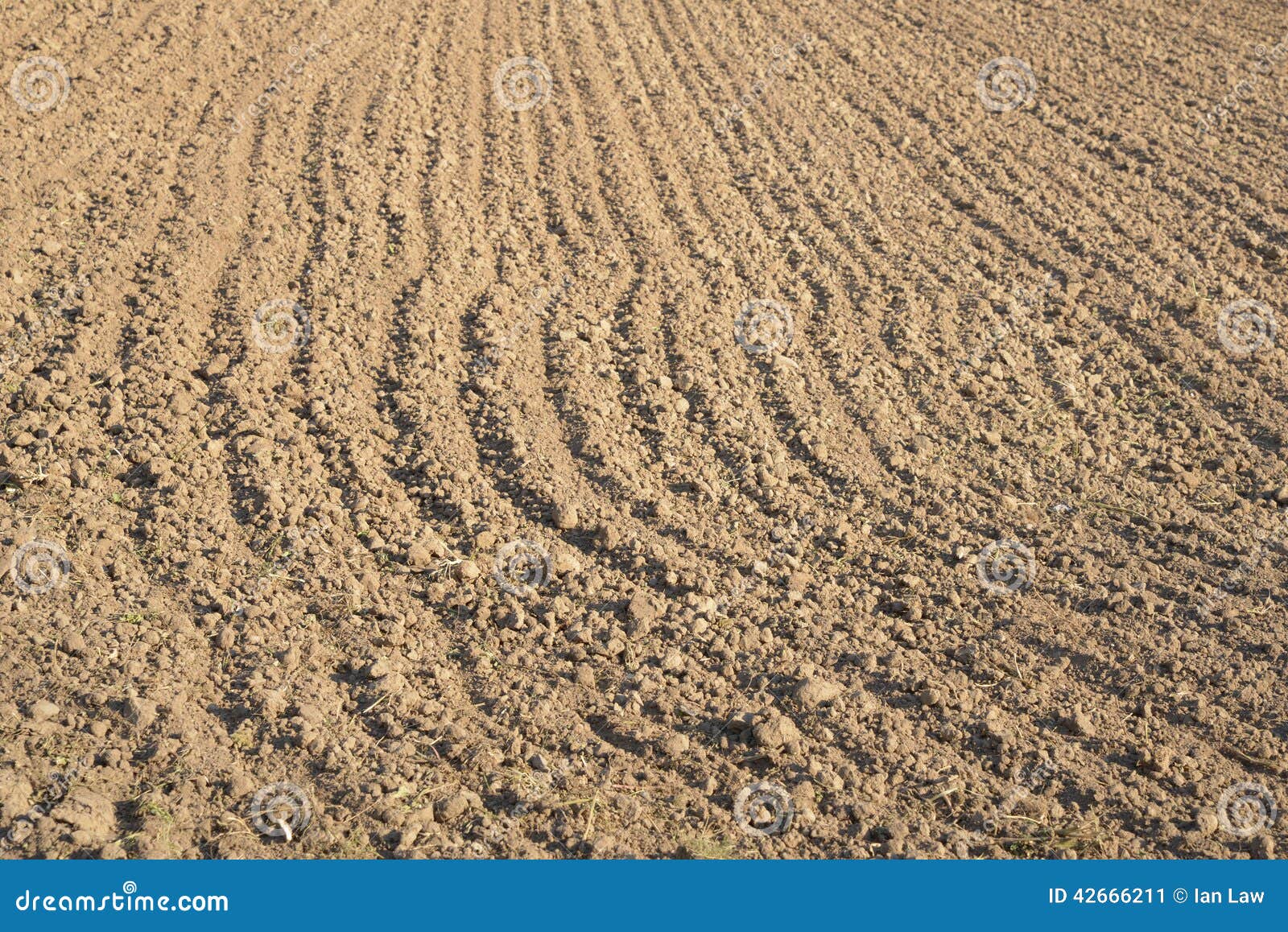Farming stock image. Image of cultivated, rural, pattern - 42666211