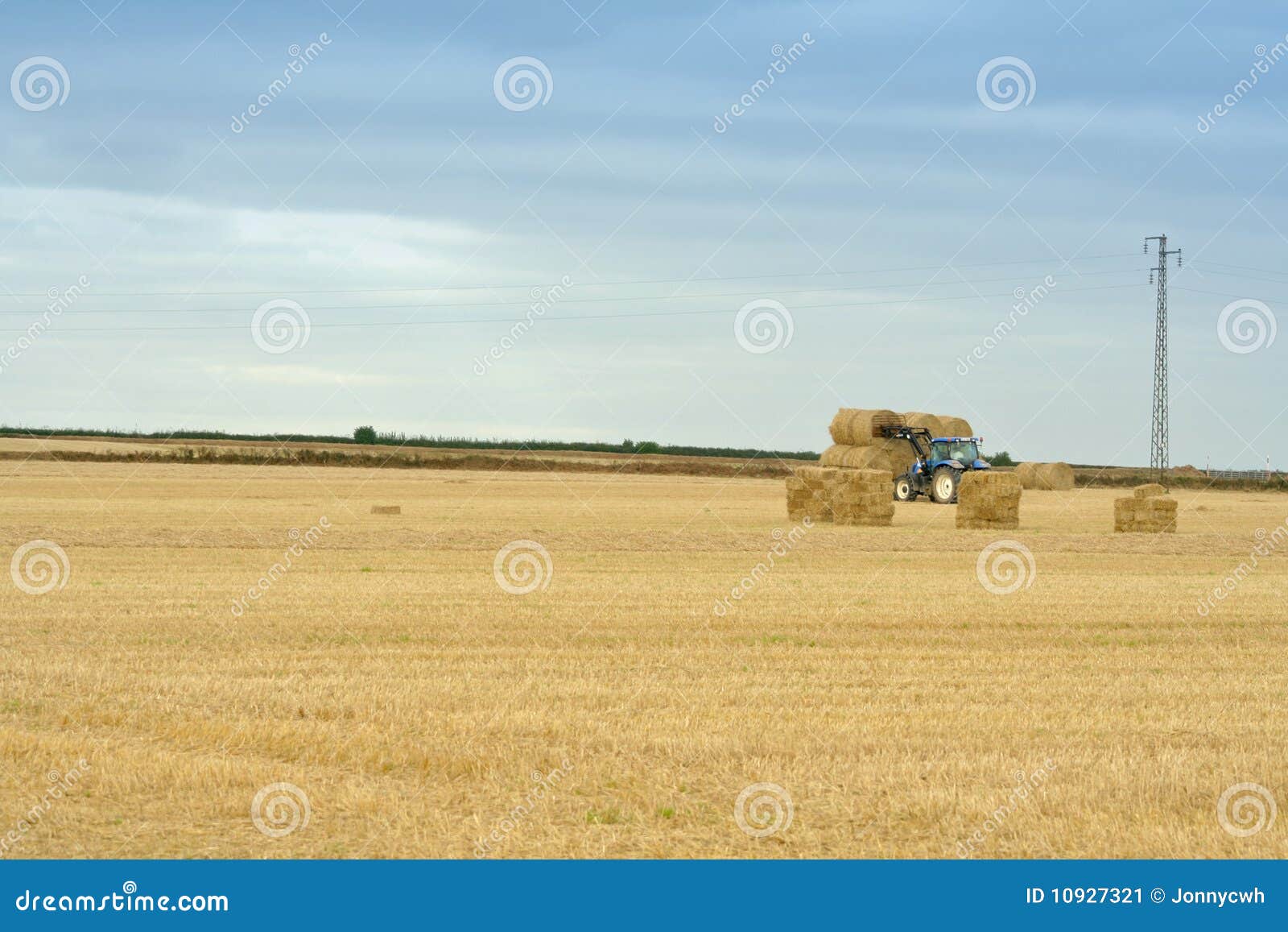 Farming Ireland stock image. Image of cows, grass, forest - 10927321