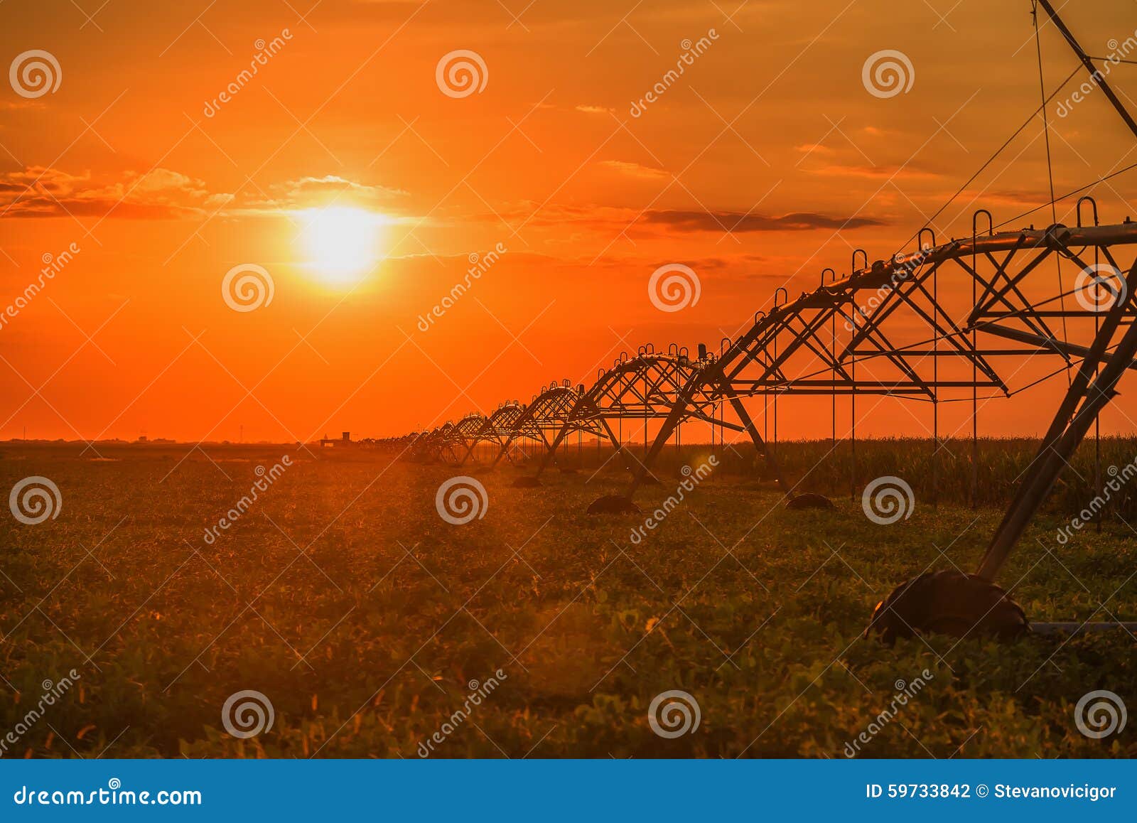 Farming Irrigation Pivot Sprinkler Stock Photo - Image of agriculture ...