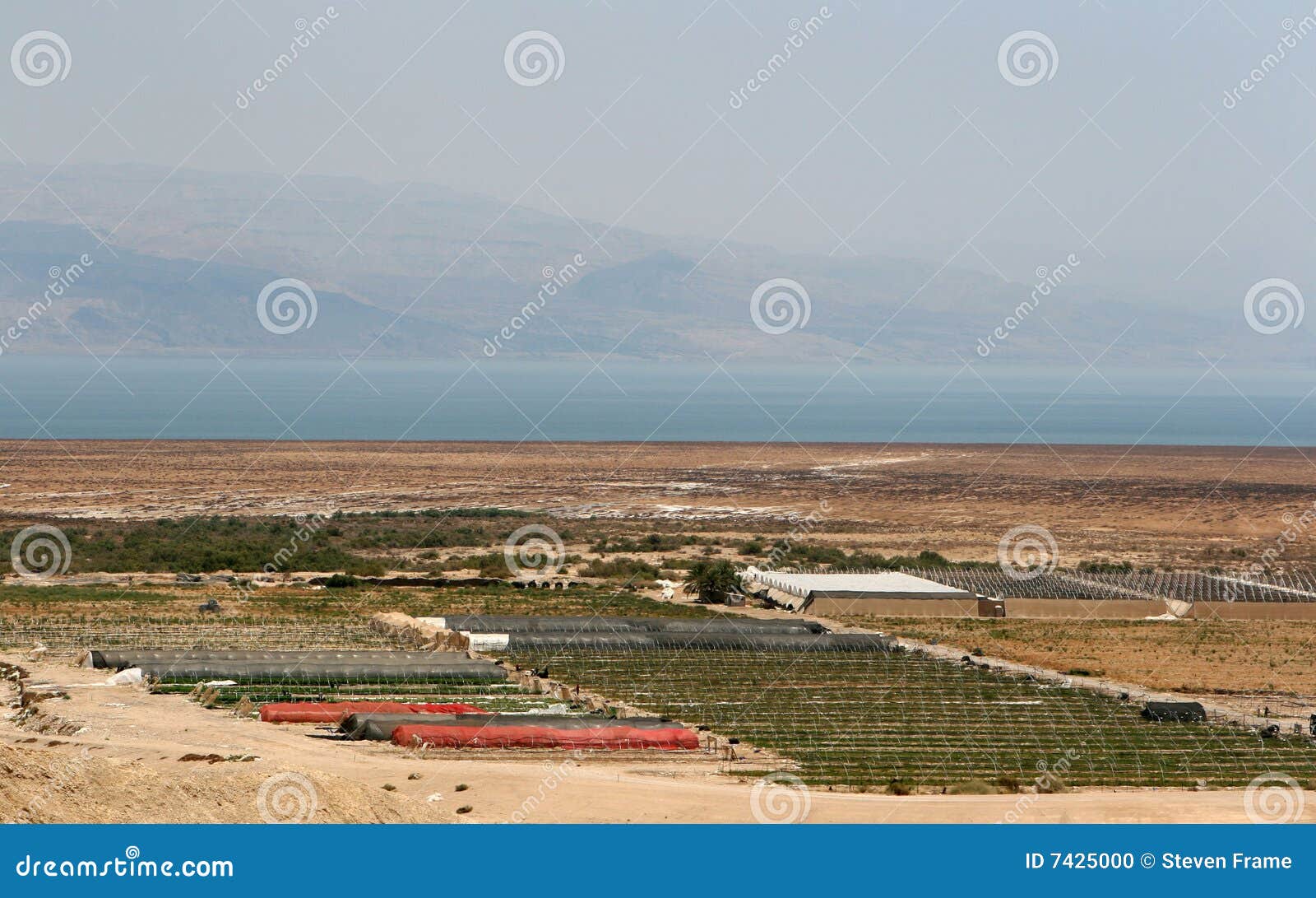 Farming in Israel stock photo. Image of plants, israel - 7425000