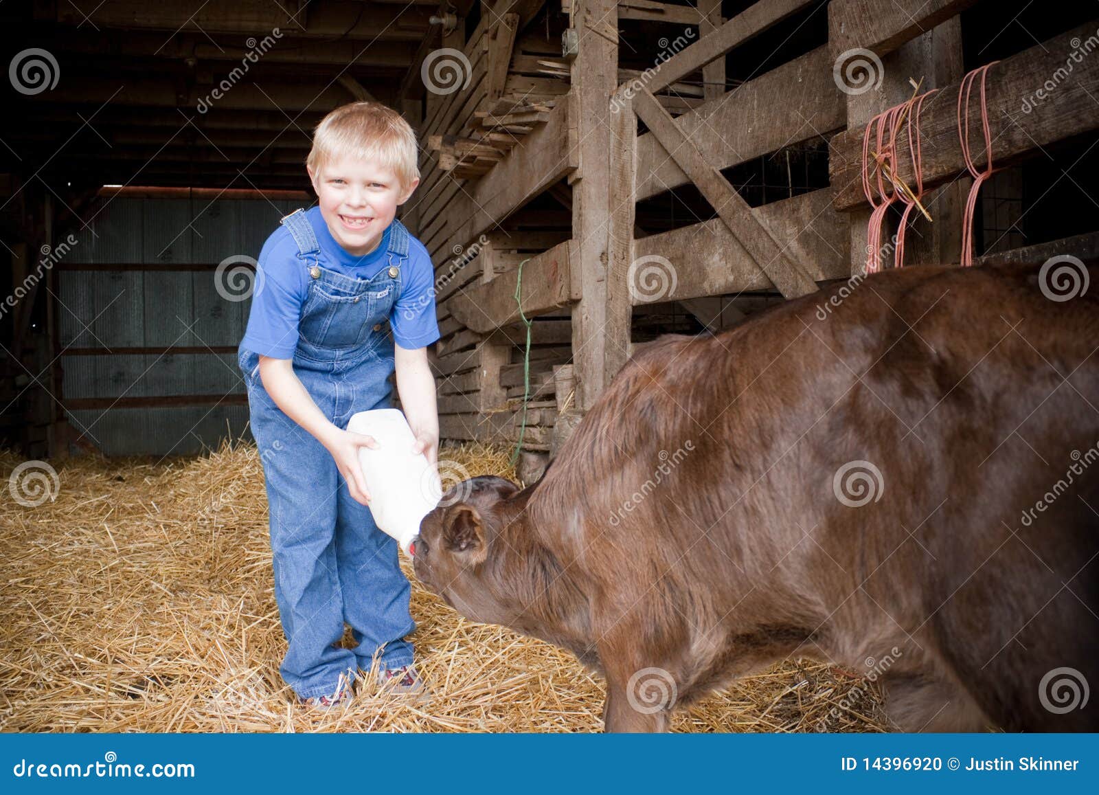 Farming Kid stock photo. Image of farm, agriculture, little - 14396920