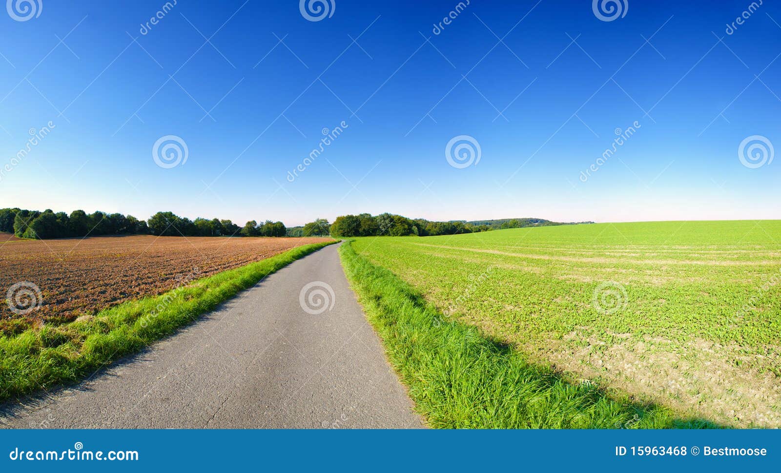 Farming landscape stock photo. Image of road, landscape - 15963468