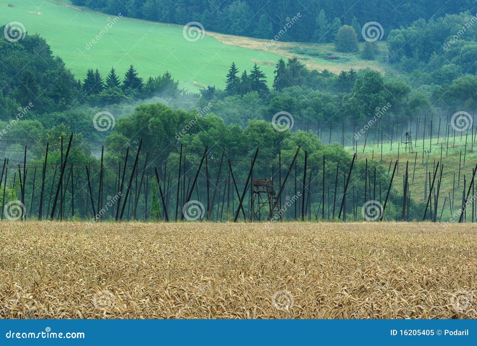 Farming landscape stock image. Image of cultivating, fertile - 16205405