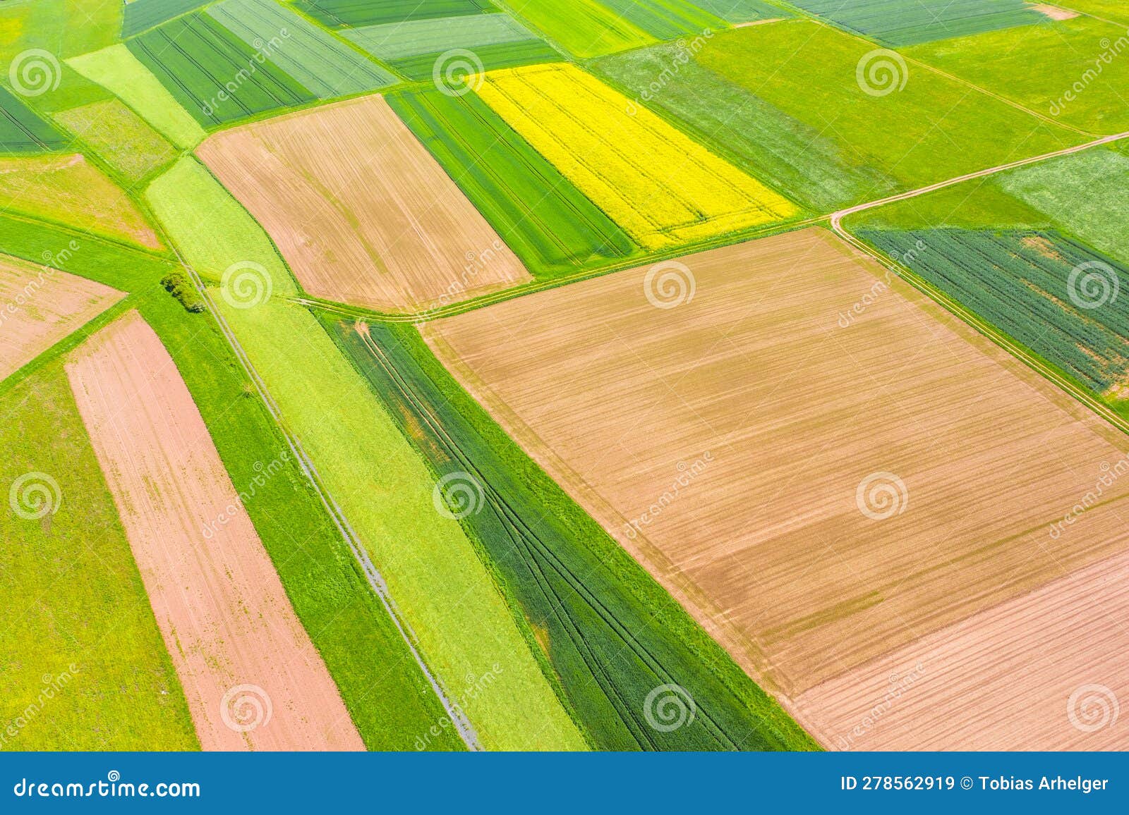Farming Landscape from Above Stock Image - Image of landscape, animal ...