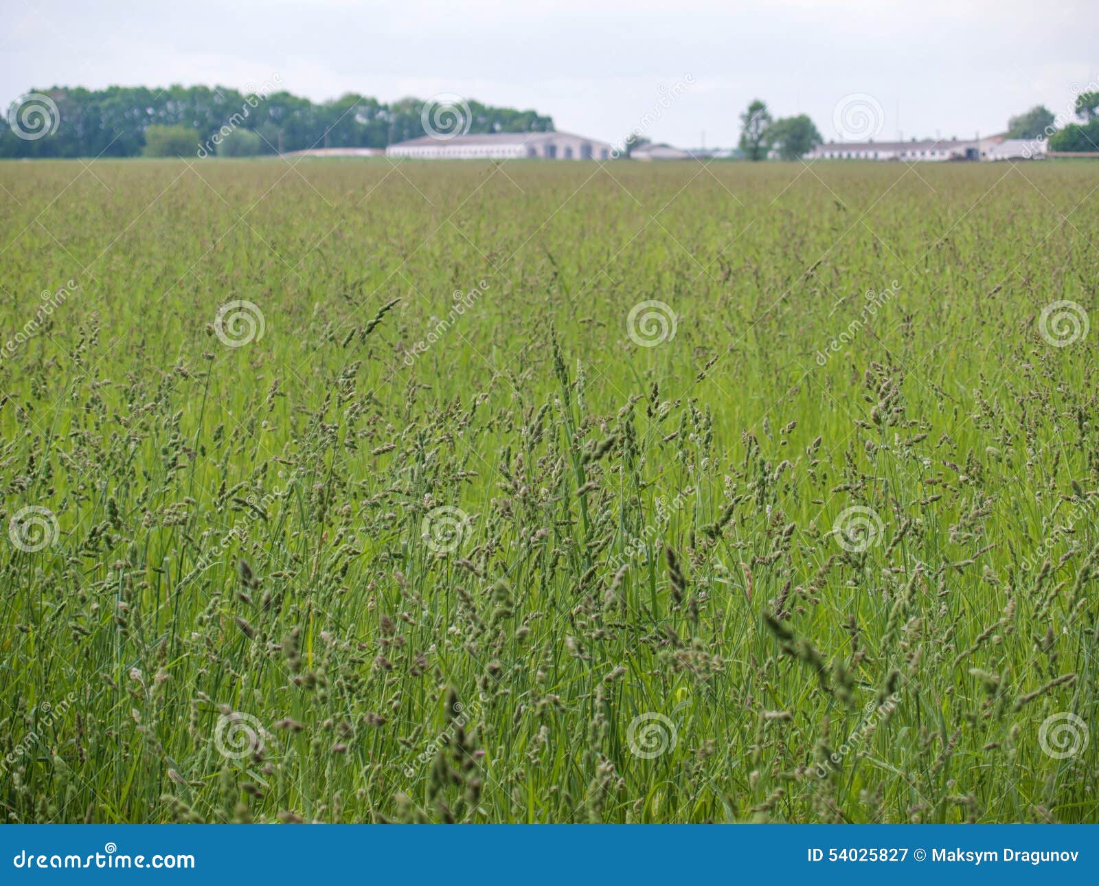Farming stock image. Image of field, agriculture, fields - 54025827
