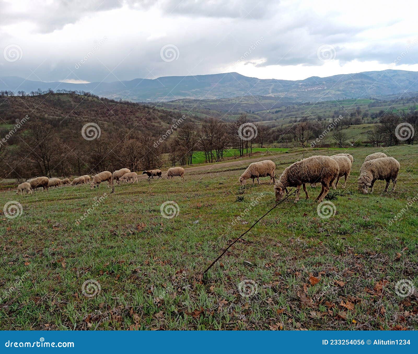 Farming mountain nature stock photo. Image of steppe - 233254056
