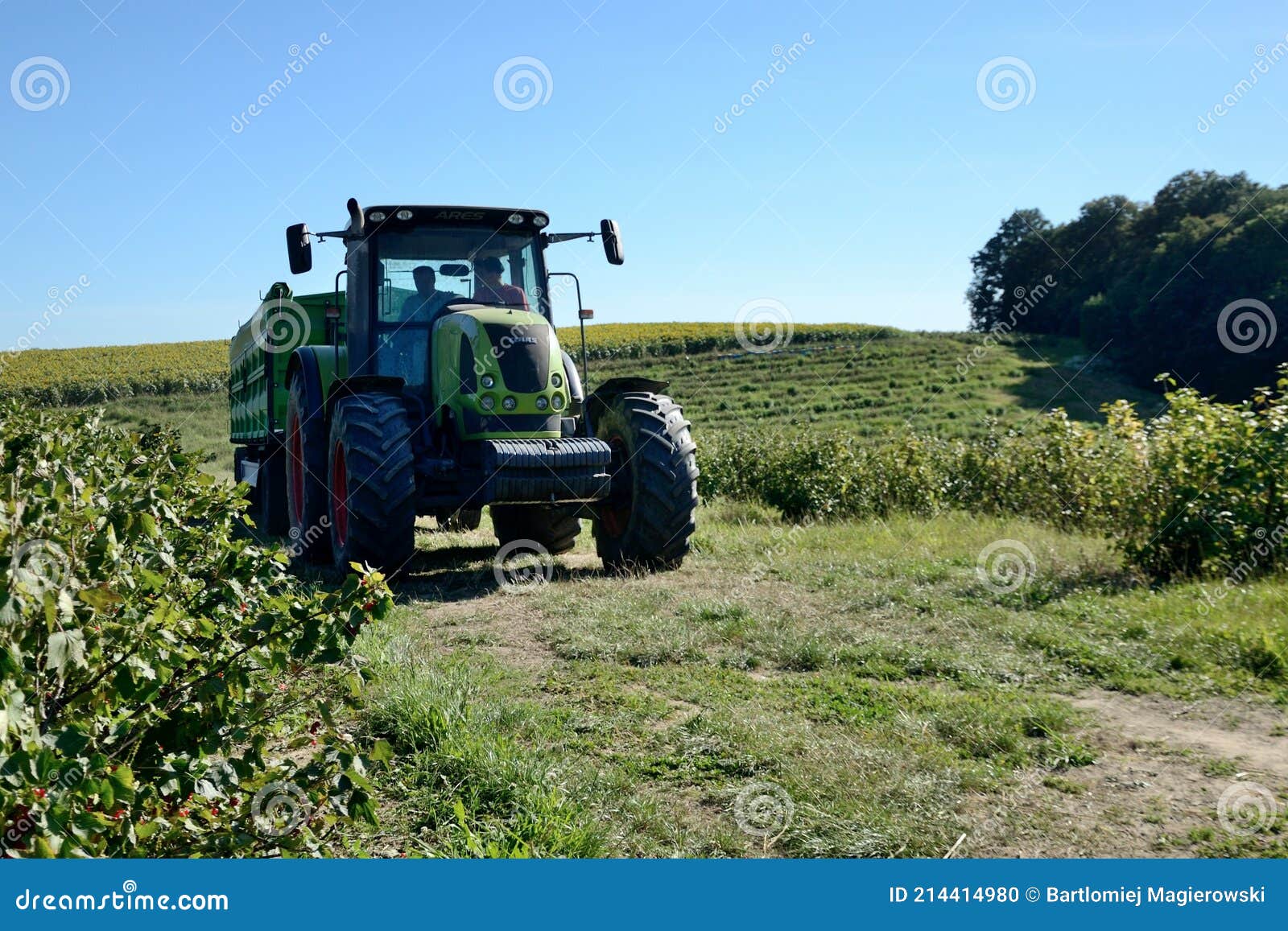 Farming in Poland, Tractor with Trailer Editorial Image - Image of ...