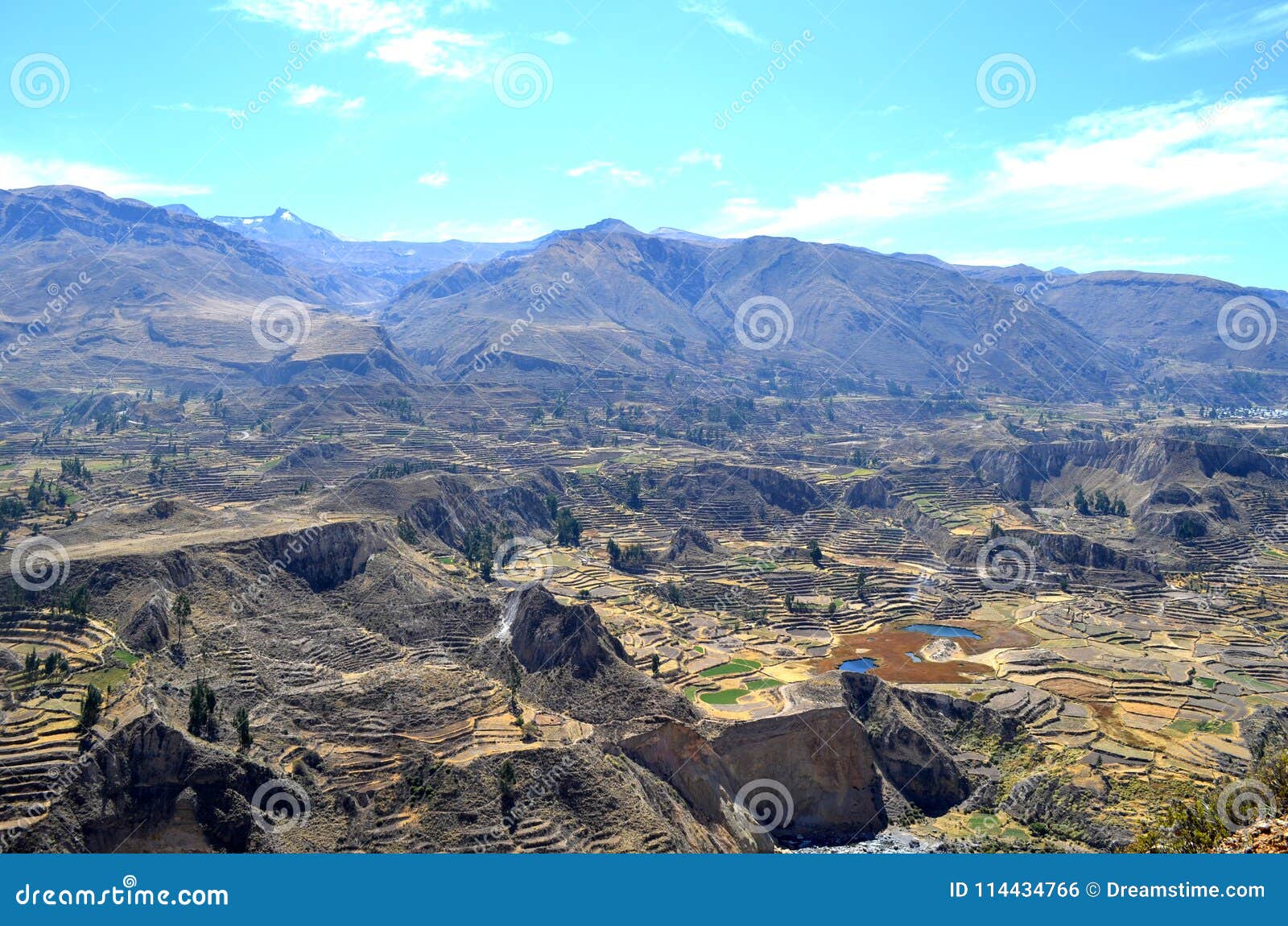 Terrace Fields in the Colca Valley, Peru Stock Photo - Image of ...