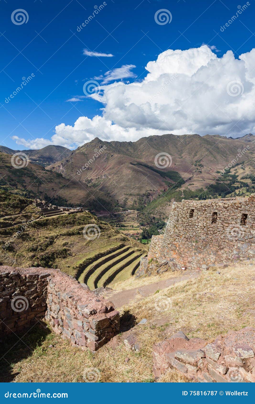 Using The Incas Farming