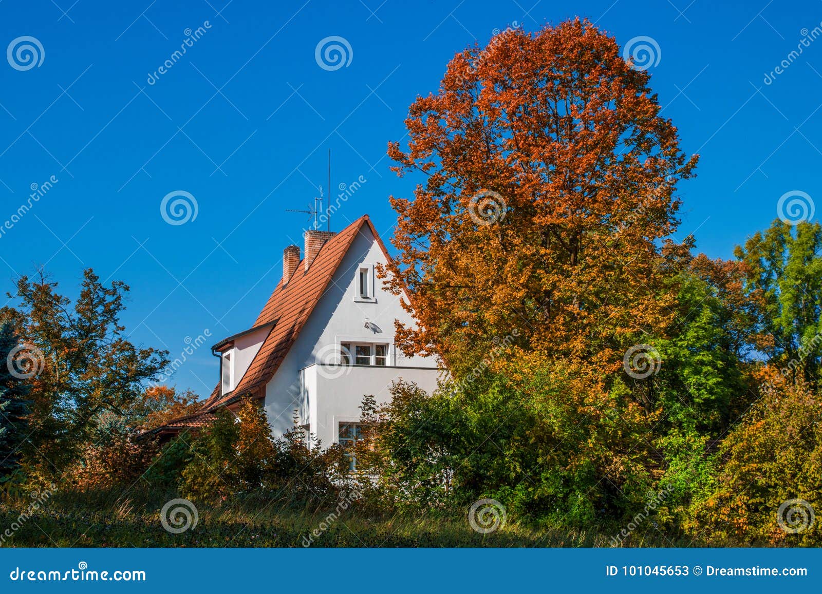 Farming time stock image. Image of plowed, plowing, overgrown - 101045653
