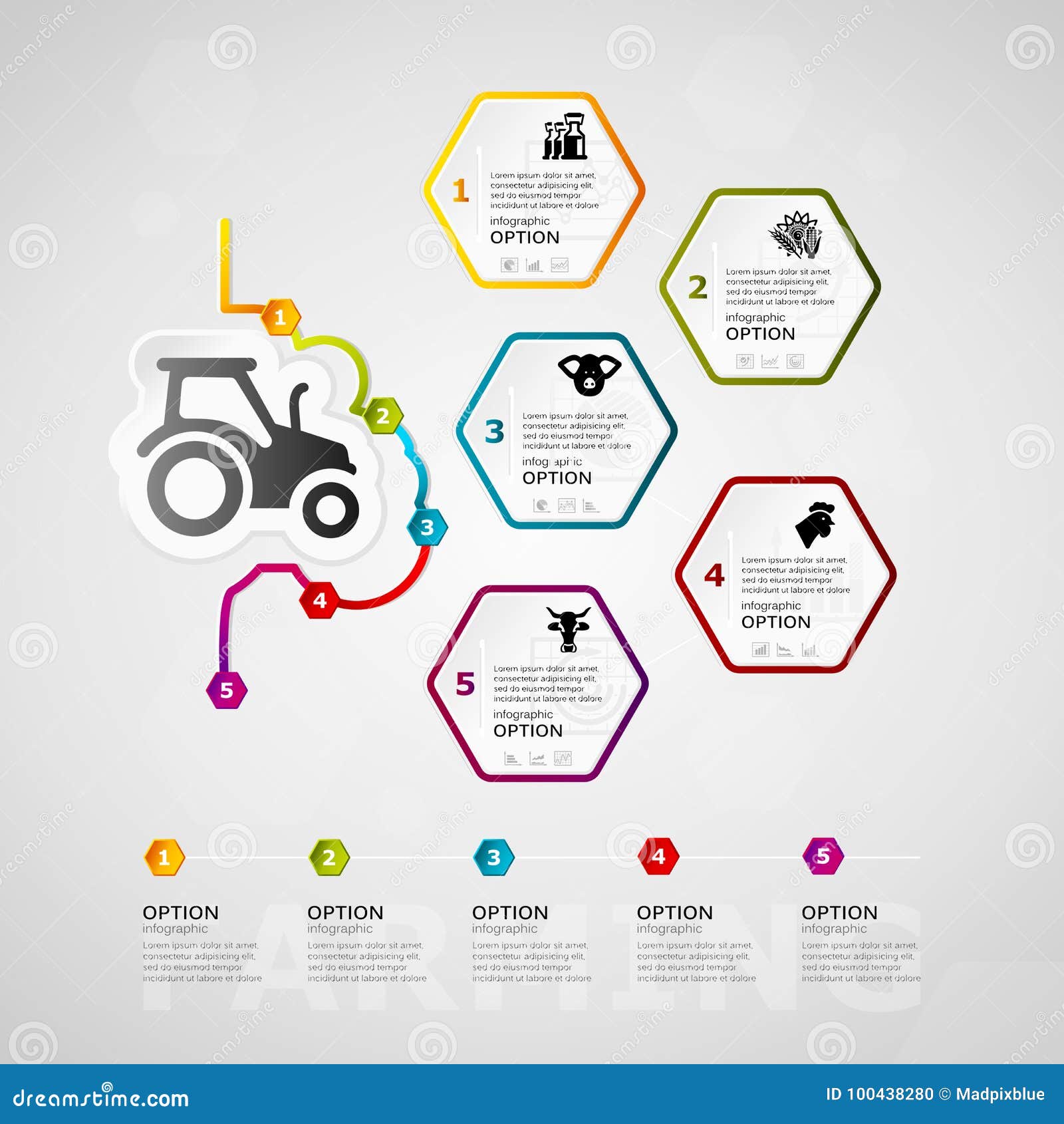Farming Timeline Infographics Stock Vector - Illustration of five ...