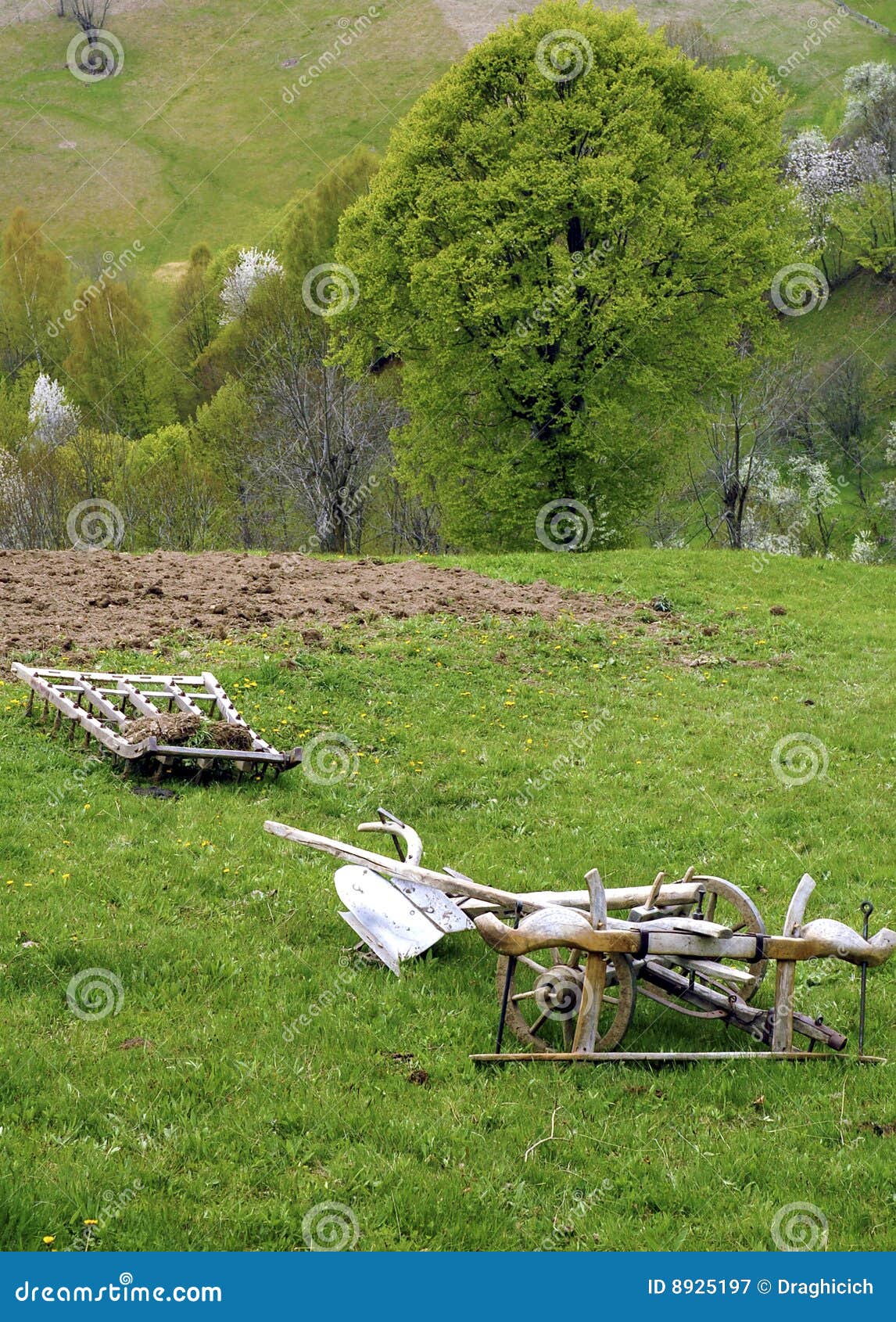 Farming tools stock image. Image of fashioned, decorative - 8925197