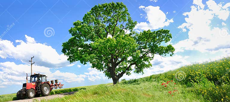 Farming Tractor and Big Green Tree Stock Photo - Image of harvest ...