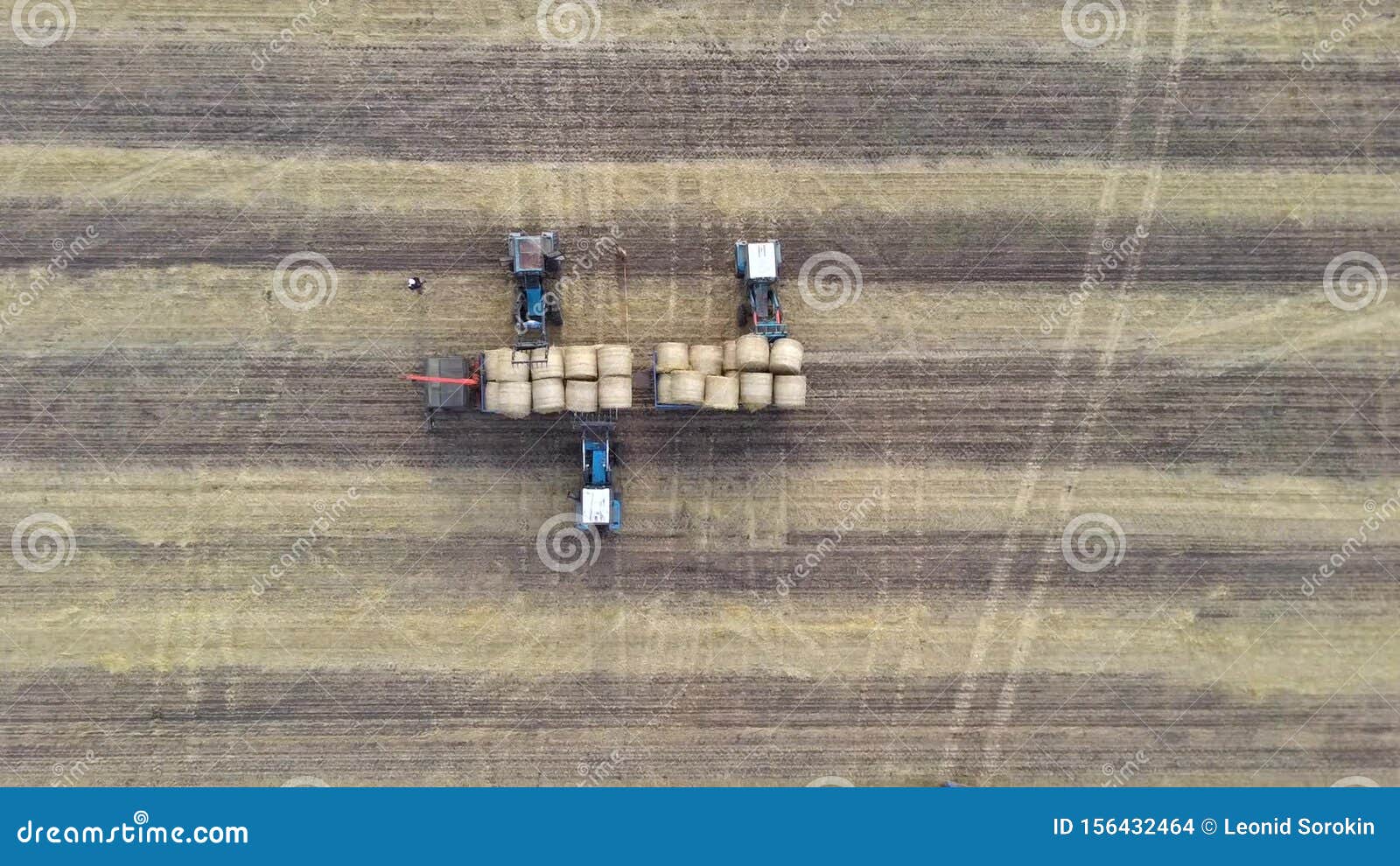Farming Tractor Loading Haystacks on Agricultural Field. Process ...