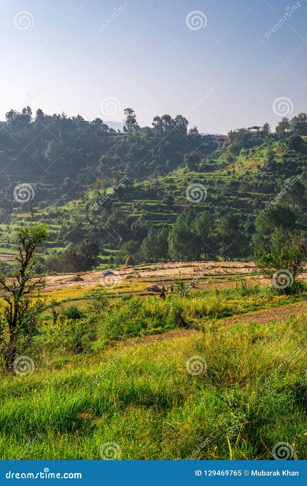 Farming in Himalayas stock image. Image of scenic, snowcapped - 129469765