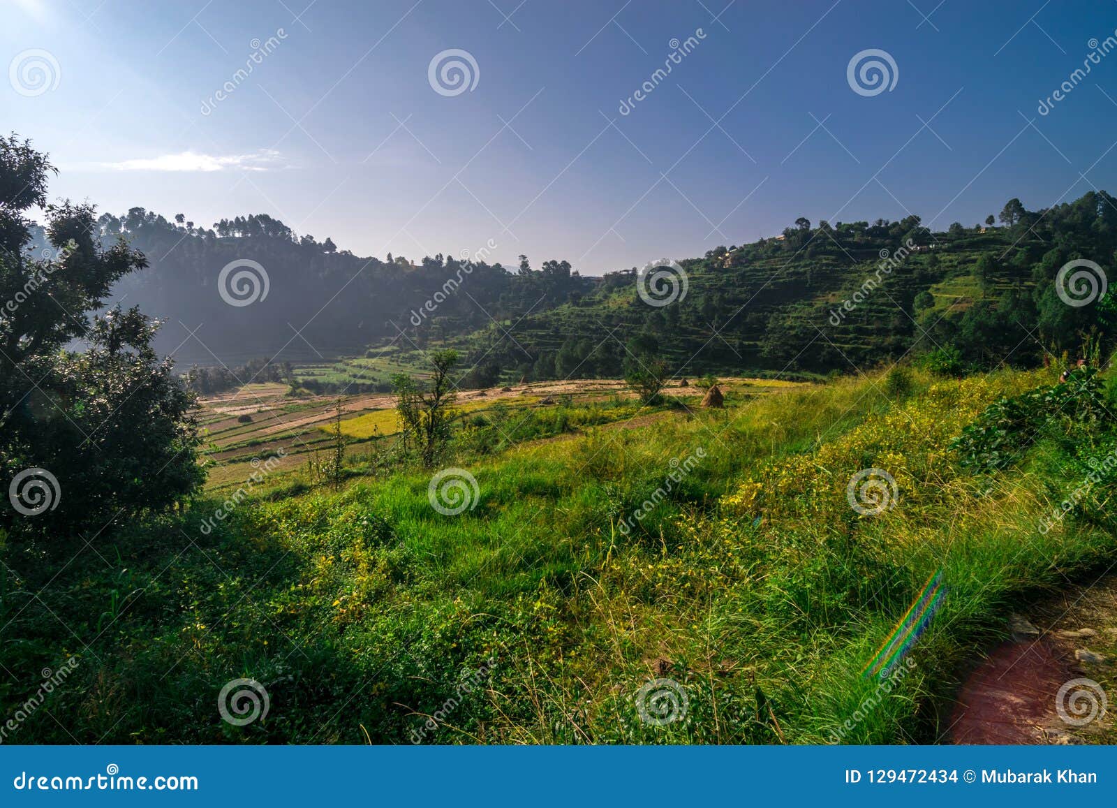 Farming in Himalayas stock photo. Image of stations - 129472434
