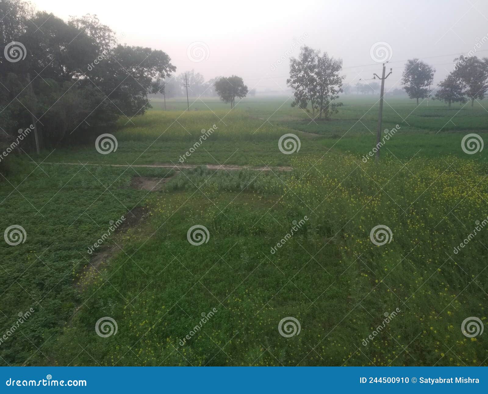 Farming in Villages on Plains Stock Photo - Image of hill, plains ...
