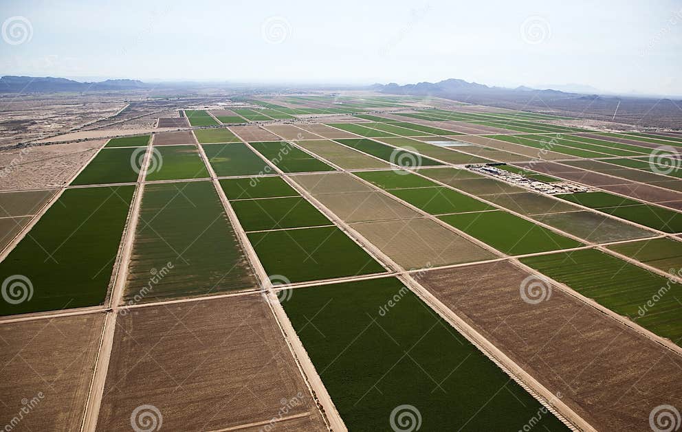 Farmland stock photo. Image of farm, arizona, southwest - 26145136