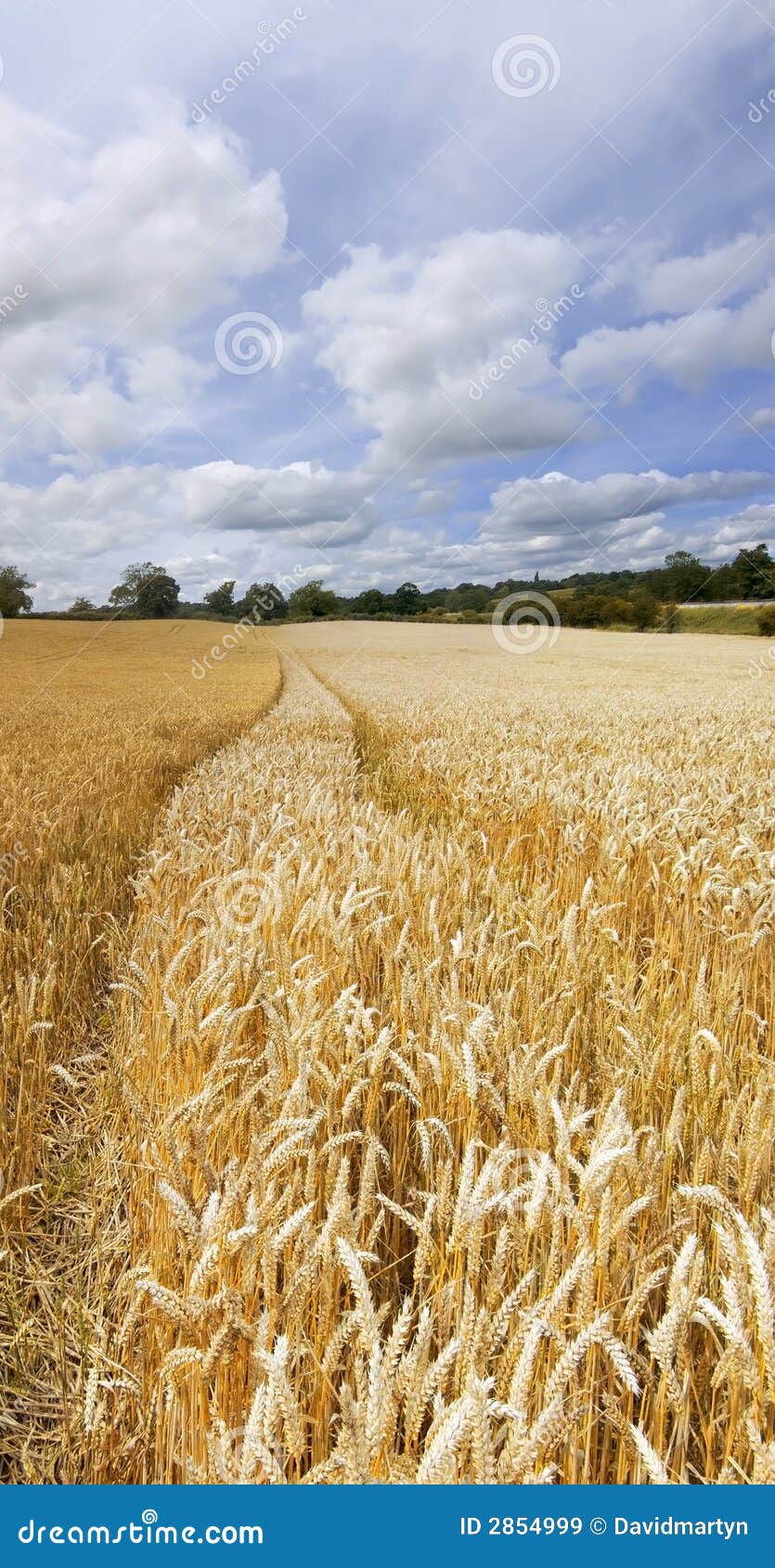 Farmland stock image. Image of agriculture, scenics, field - 2854999