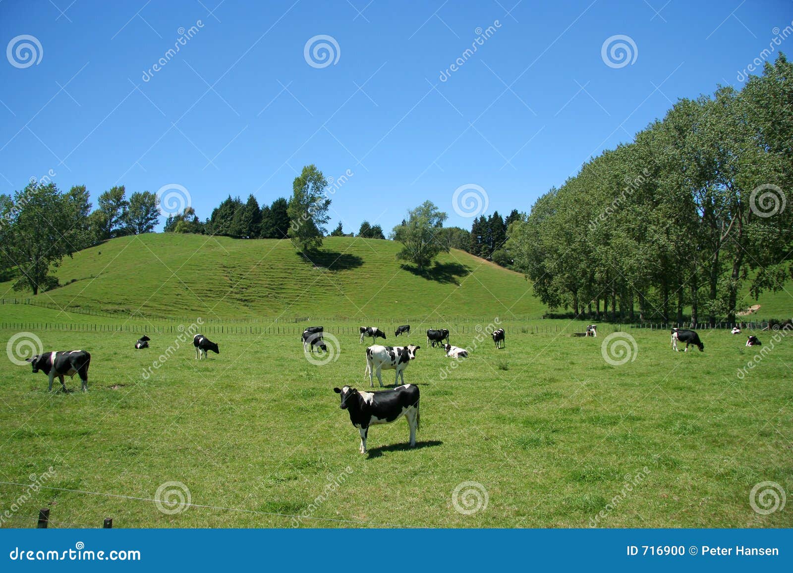 Farmland stock photo. Image of idyllic, farm, blue, calm - 716900
