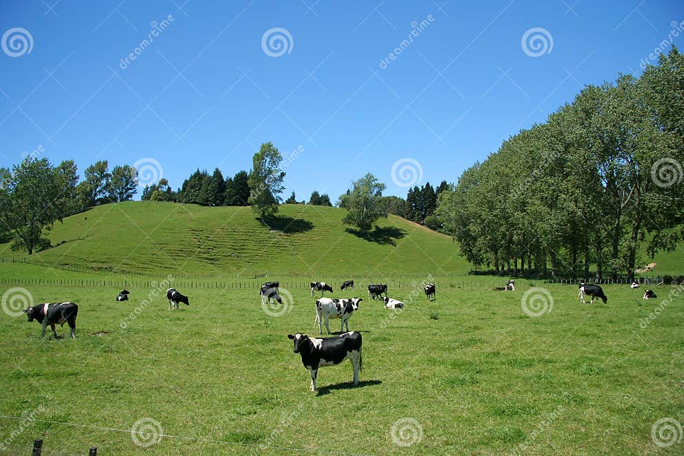 Farmland stock photo. Image of idyllic, farm, blue, calm - 716900