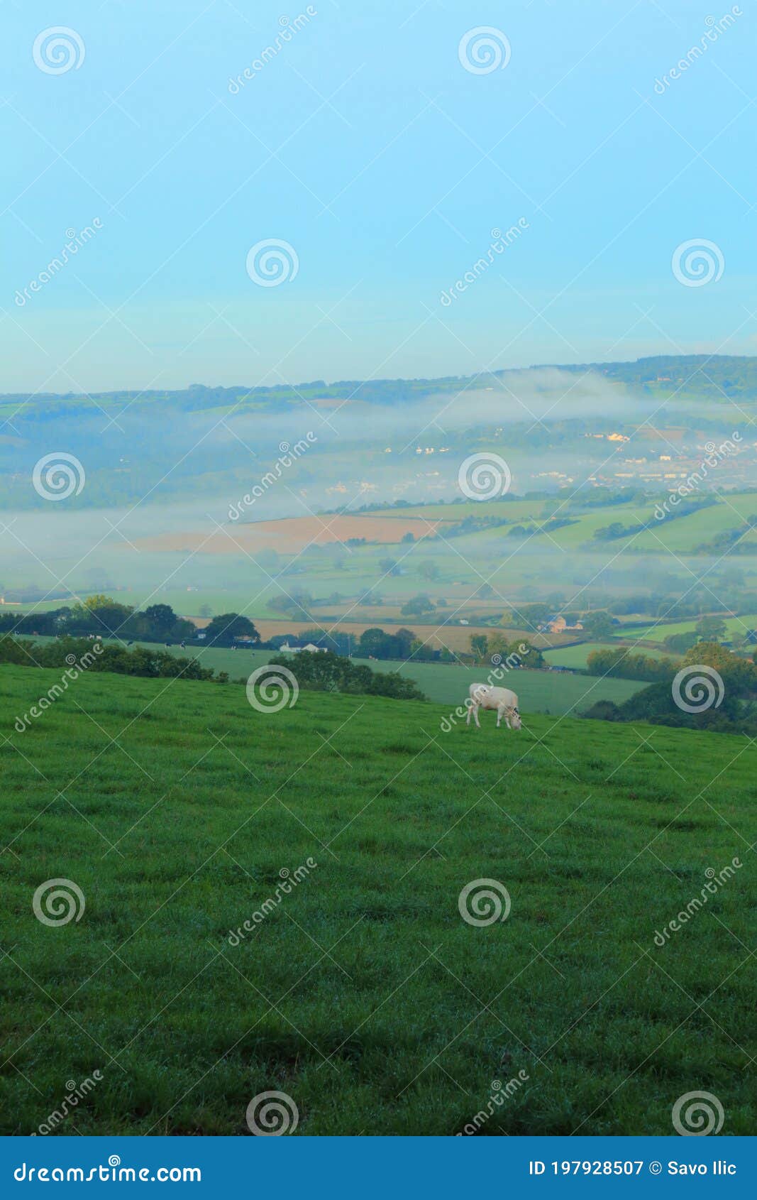 Farmland in Axe Valley, Devon Stock Image - Image of valley, field ...