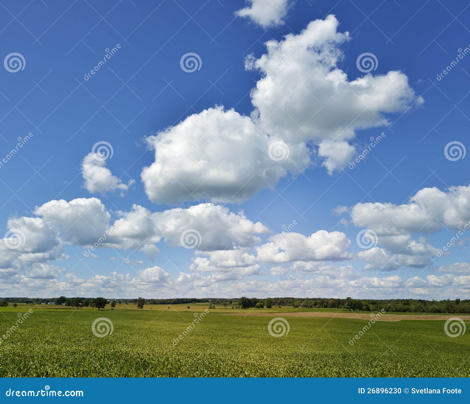 Farmland and a Beautiful Sky Stock Photo - Image of country, nature ...