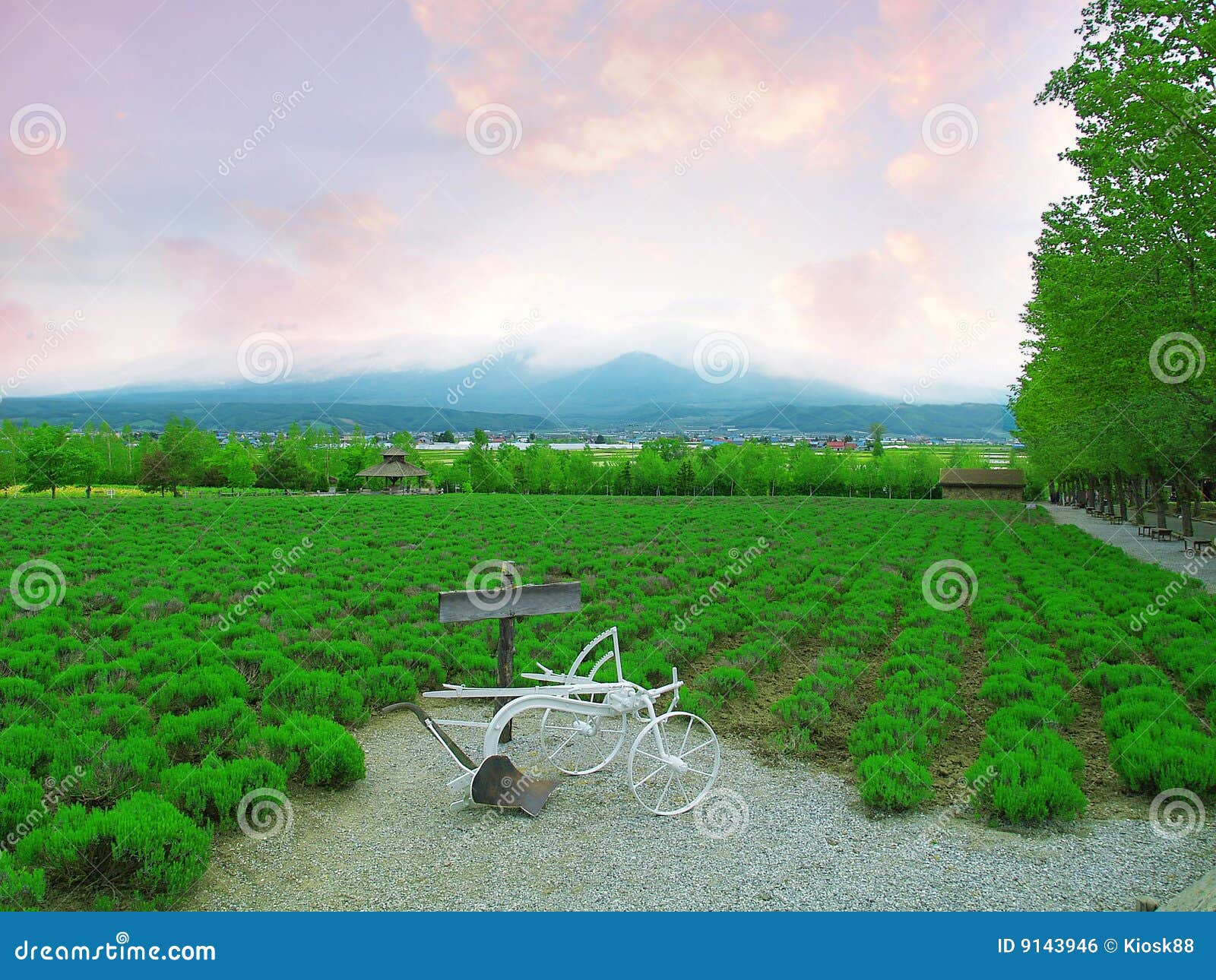 Farmland countryside stock photo. Image of awesome, green - 9143946
