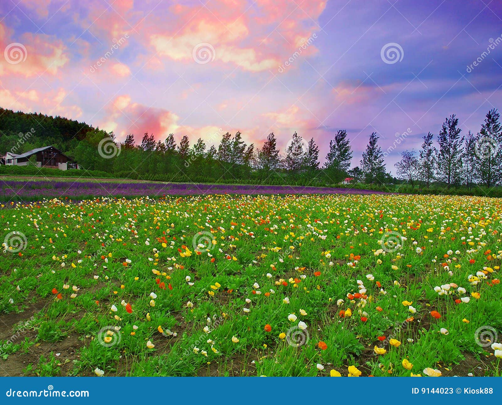 Farmland countryside stock image. Image of colorful, cloud - 9144023