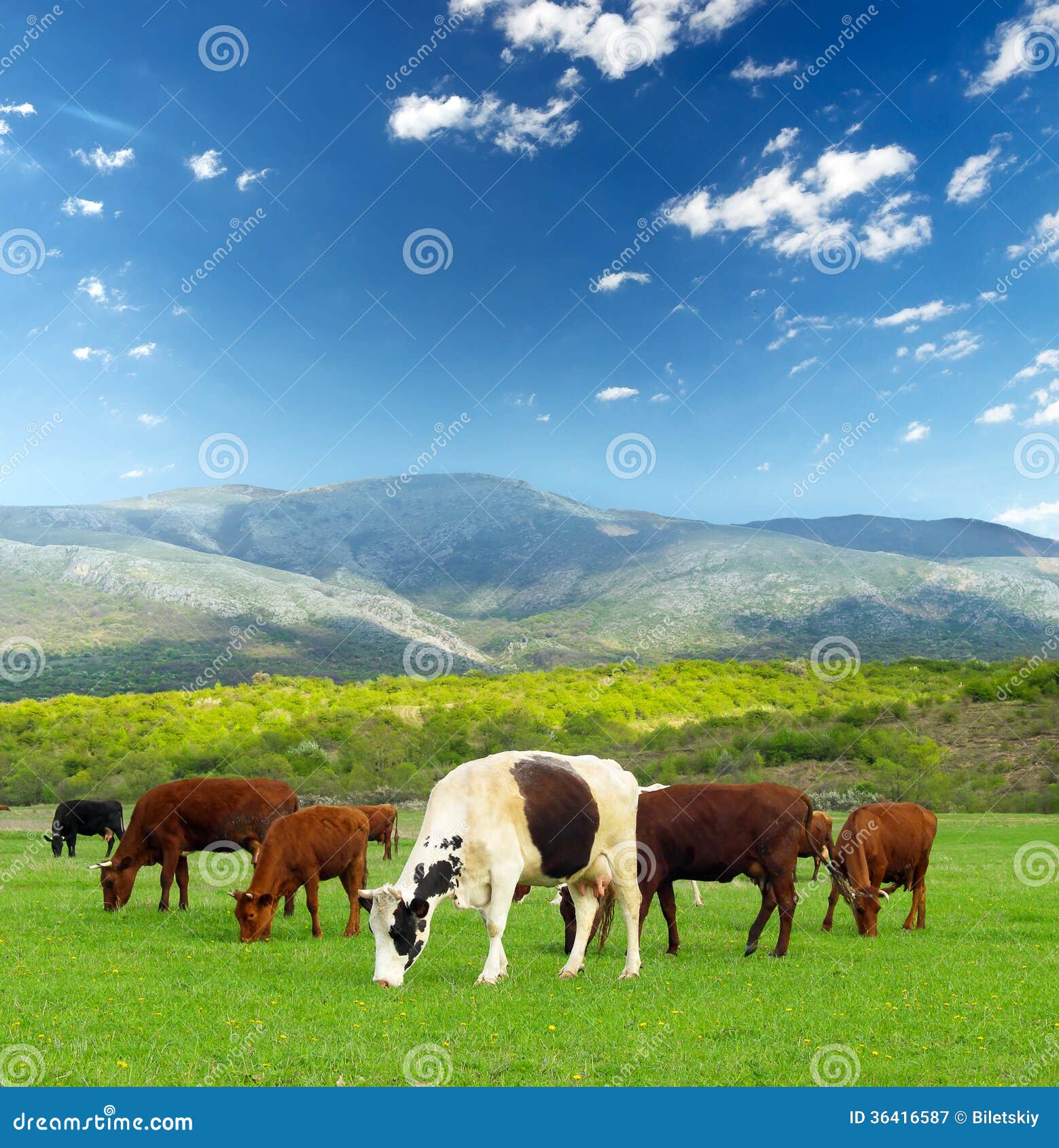 Farmland stock image. Image of landscape, countryside - 36416587