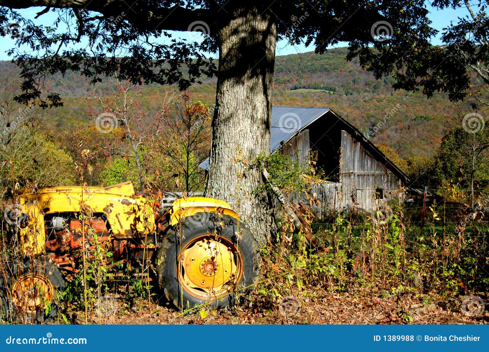 Farmland Deserted Picture. Image: 1389988