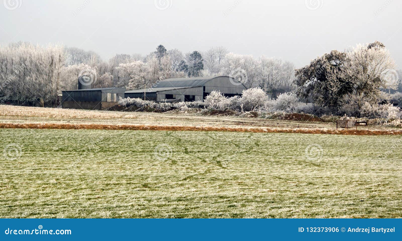 Farmland in early winter stock photo. Image of tree - 132373906
