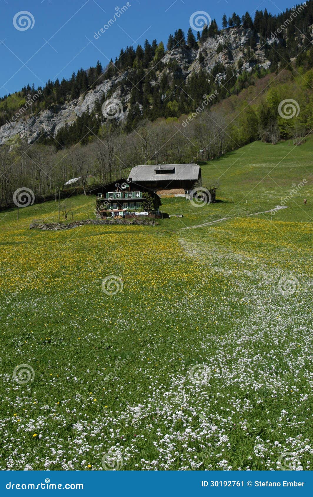 Farmland at Engelberg stock image. Image of ecosystem - 30192761